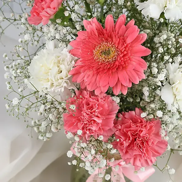 Buy/Send Snow White Online | FloraIndia