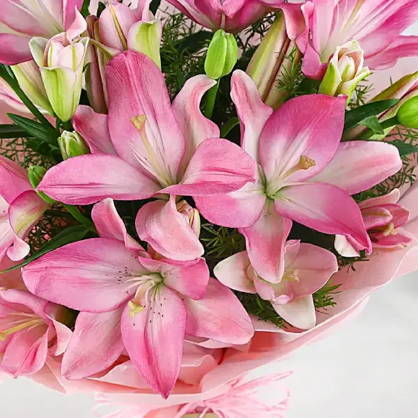 Buy/Send Splendid Flowers Online | FloraIndia