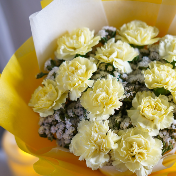 Buy/Send Yellow Carnations Online | FloraIndia